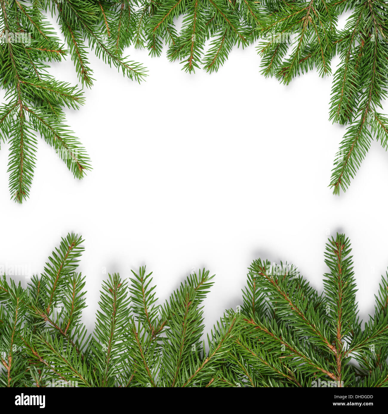 composition from fir twigs with shadow, on white background Stock Photo ...