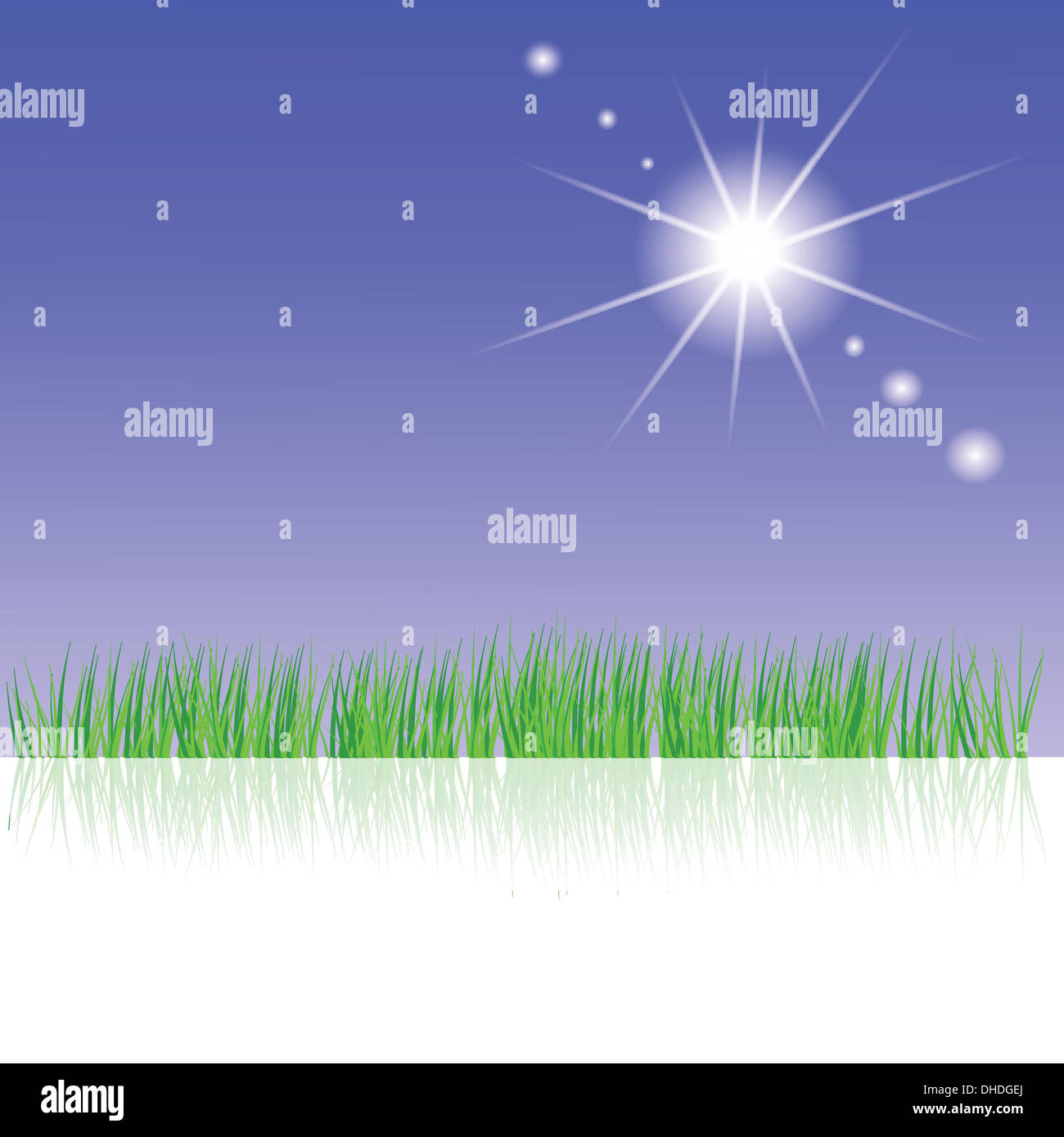 green grass and sun Stock Photo - Alamy