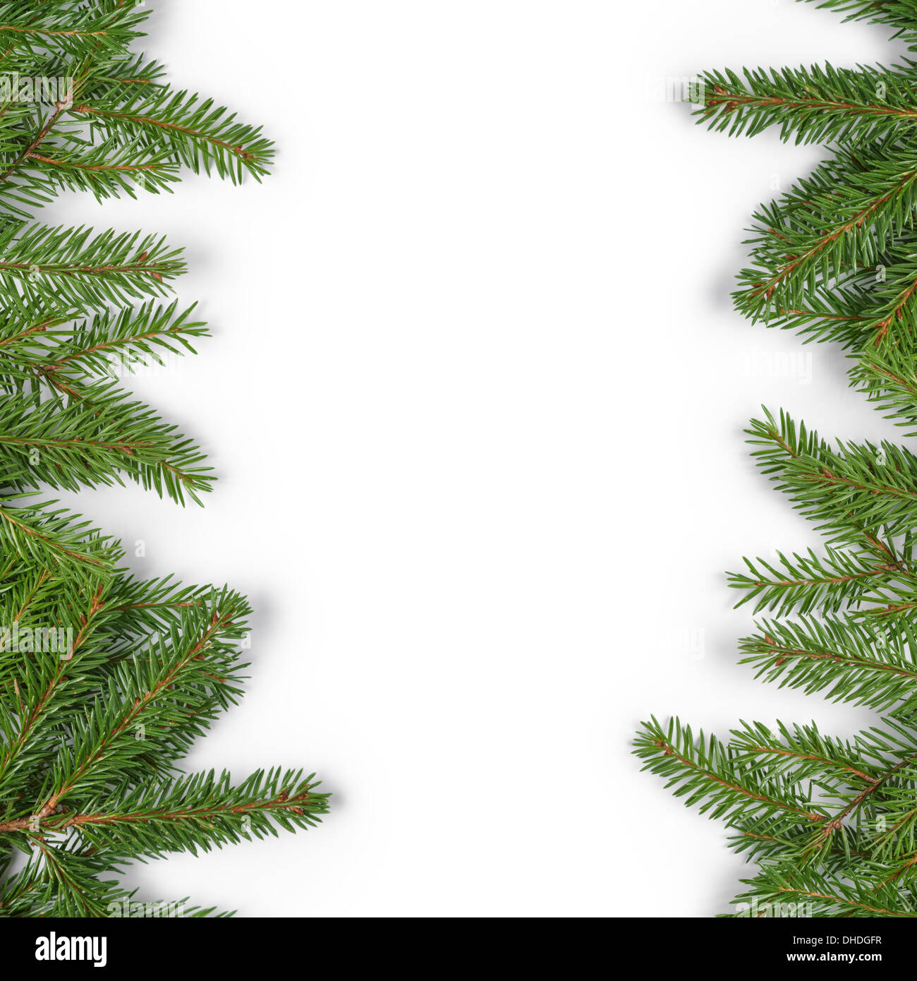 composition from fir twigs with shadow, on white background Stock Photo ...