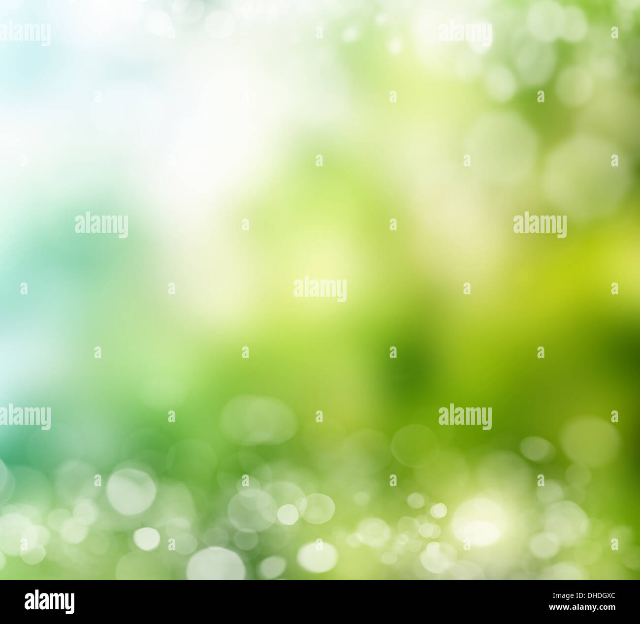 natural green background with selective focus Stock Photo - Alamy
