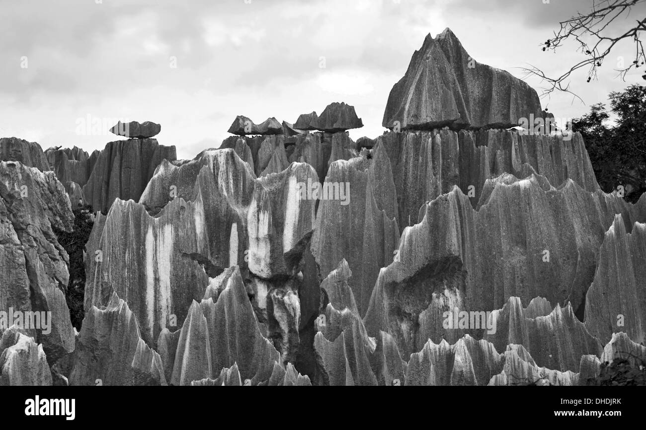 Beautiful limestone formation at Kunming Stone forest or Shilin, a ...