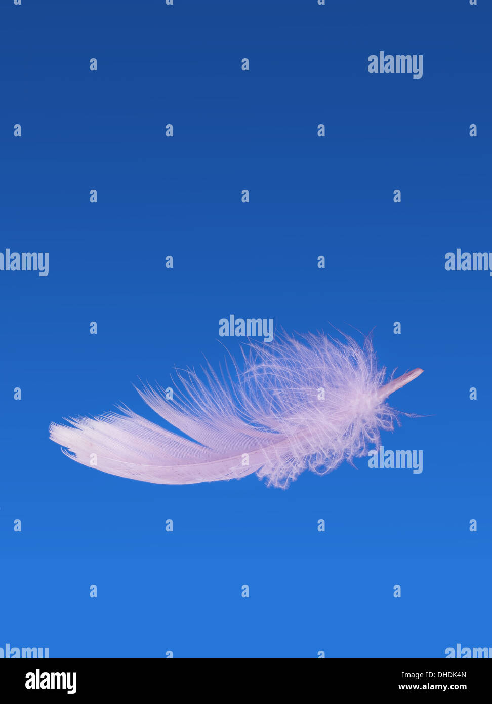 Floaty hi-res stock photography and images - Alamy