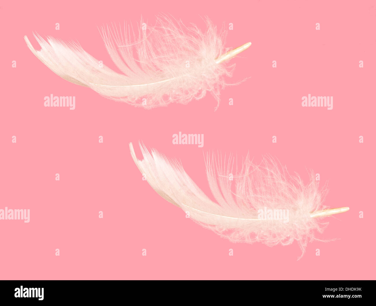 Feather falling hi-res stock photography and images - Alamy