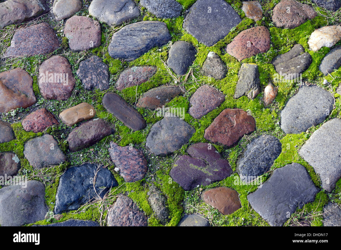 cobblestone pavement with moss on boards Stock Photo - Alamy