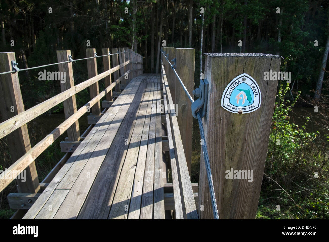 Florida Trail, Tosohatchee Wildlife Management Area; Florida, United ...