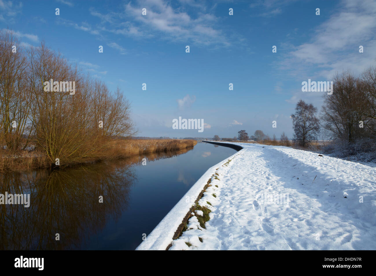A winter scene at Rockland Dyke in the Norfolk Broads, Norfolk, England ...