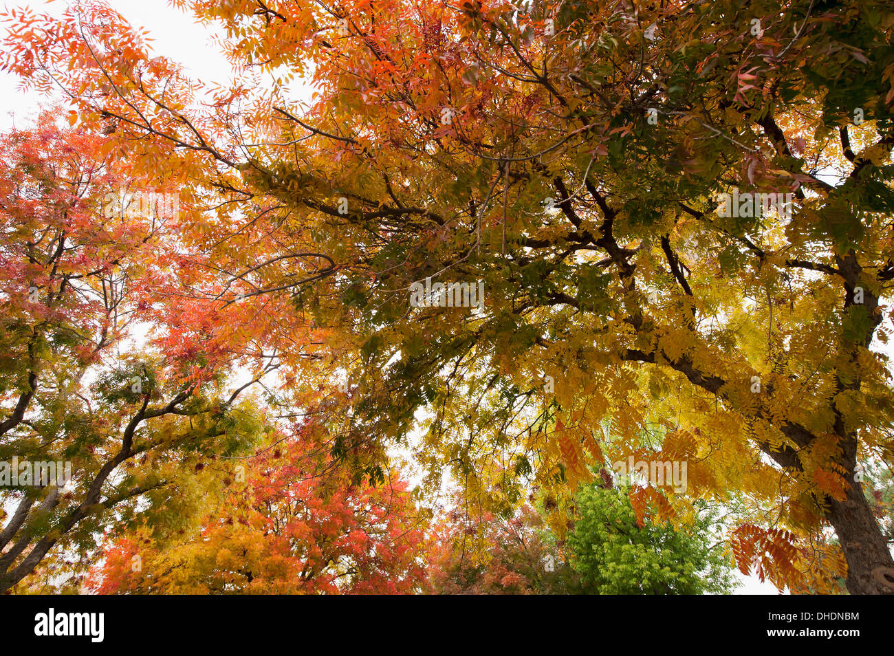 Seasons In The United States