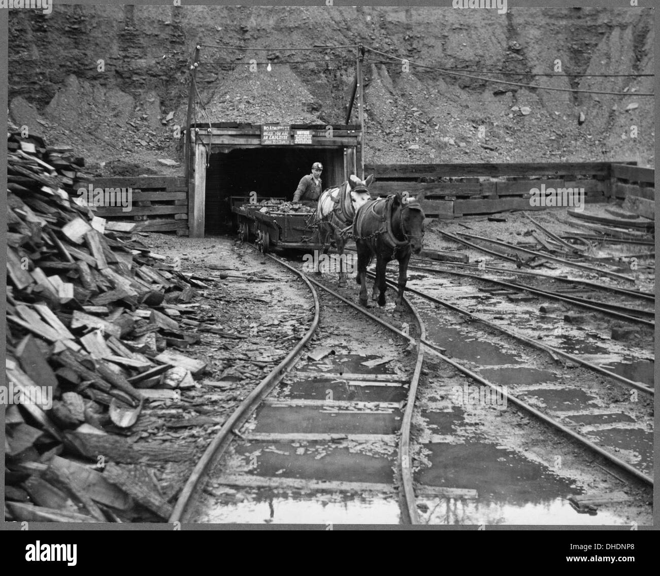 This image shows ponies at the mine portal of the Black Diamond Mine in ...