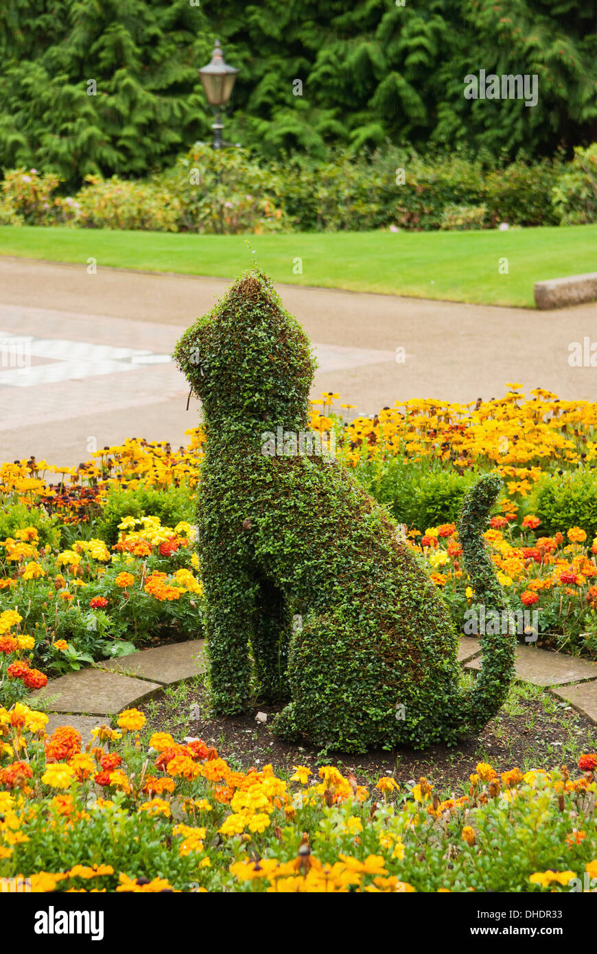 A Shrub Trimmed Into The Shape Of A Cat At Belfast Castle; Belfast ...