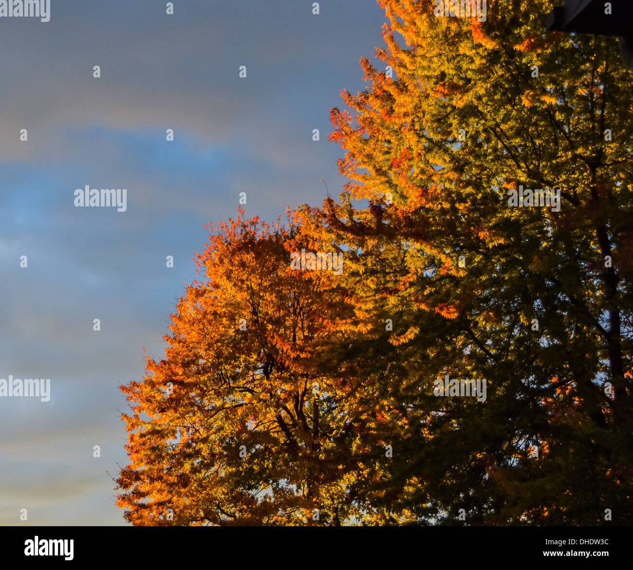 Sunset and fall colors hi-res stock photography and images - Alamy