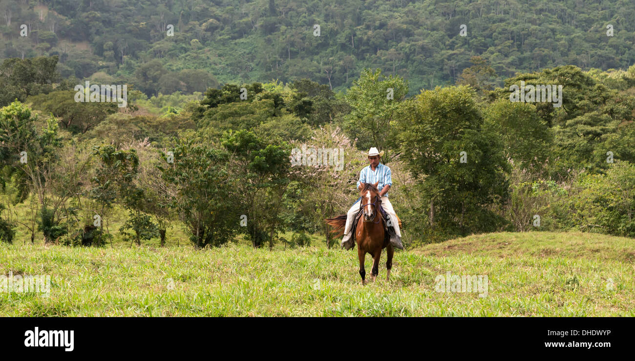 A Man Rides Horseback Through A Tree Filled Landscape; Zacapa ...