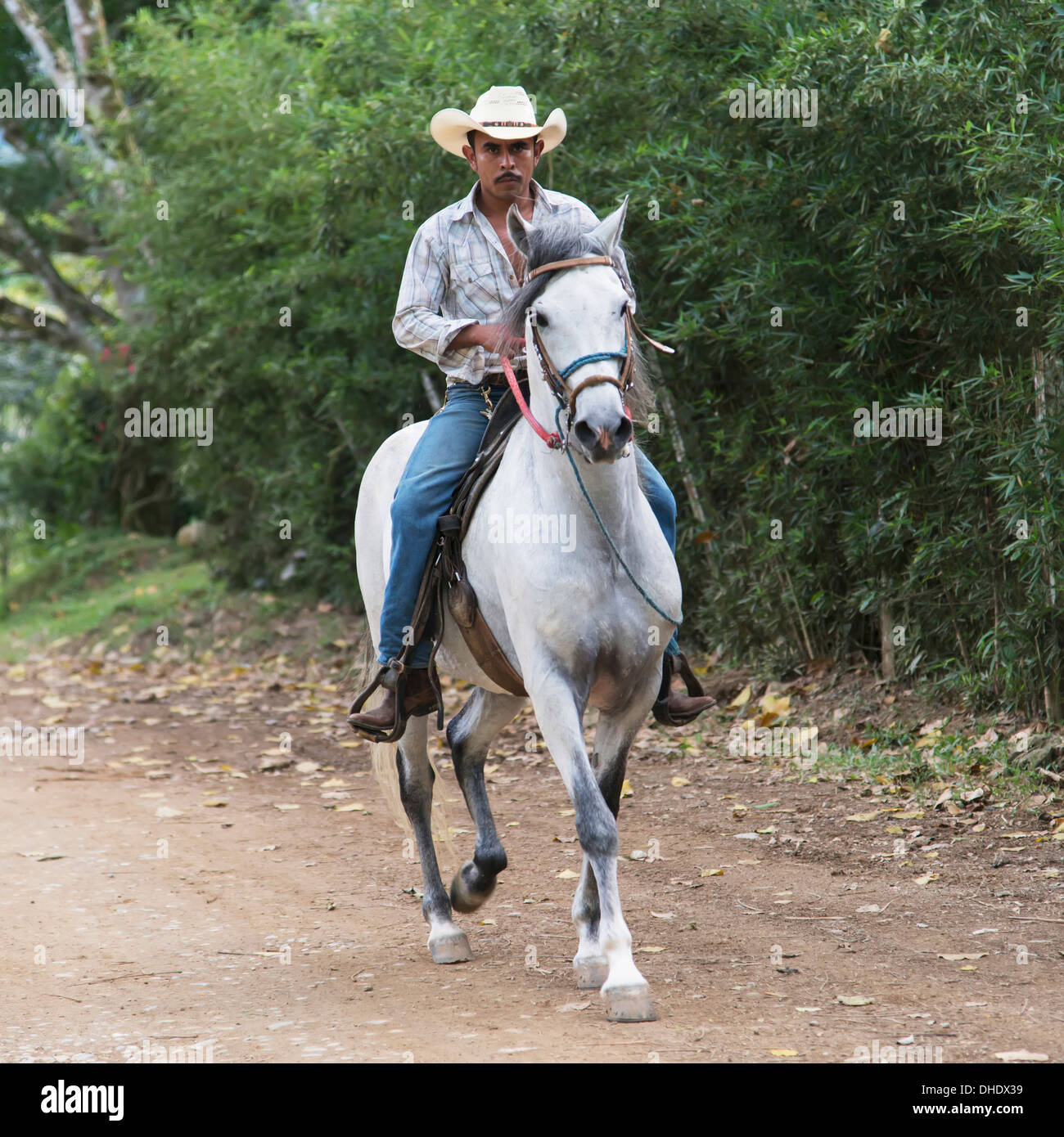 A Man Riding Horseback On A Trail; Zacapa, Guatemala Stock Photo ...