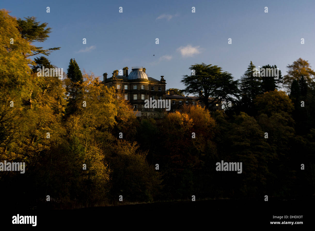 Bedlington hi-res stock photography and images - Alamy