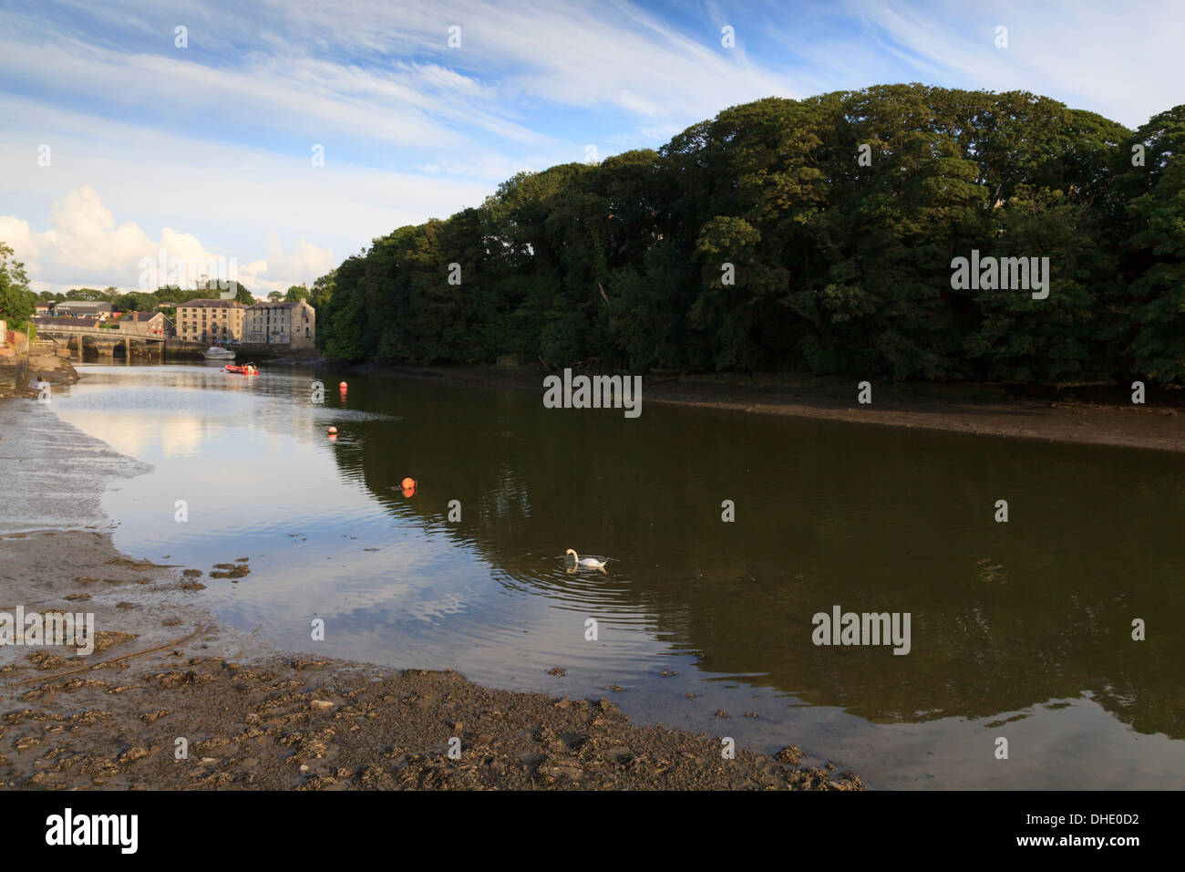 River teifi in cardigan town hi-res stock photography and images - Alamy