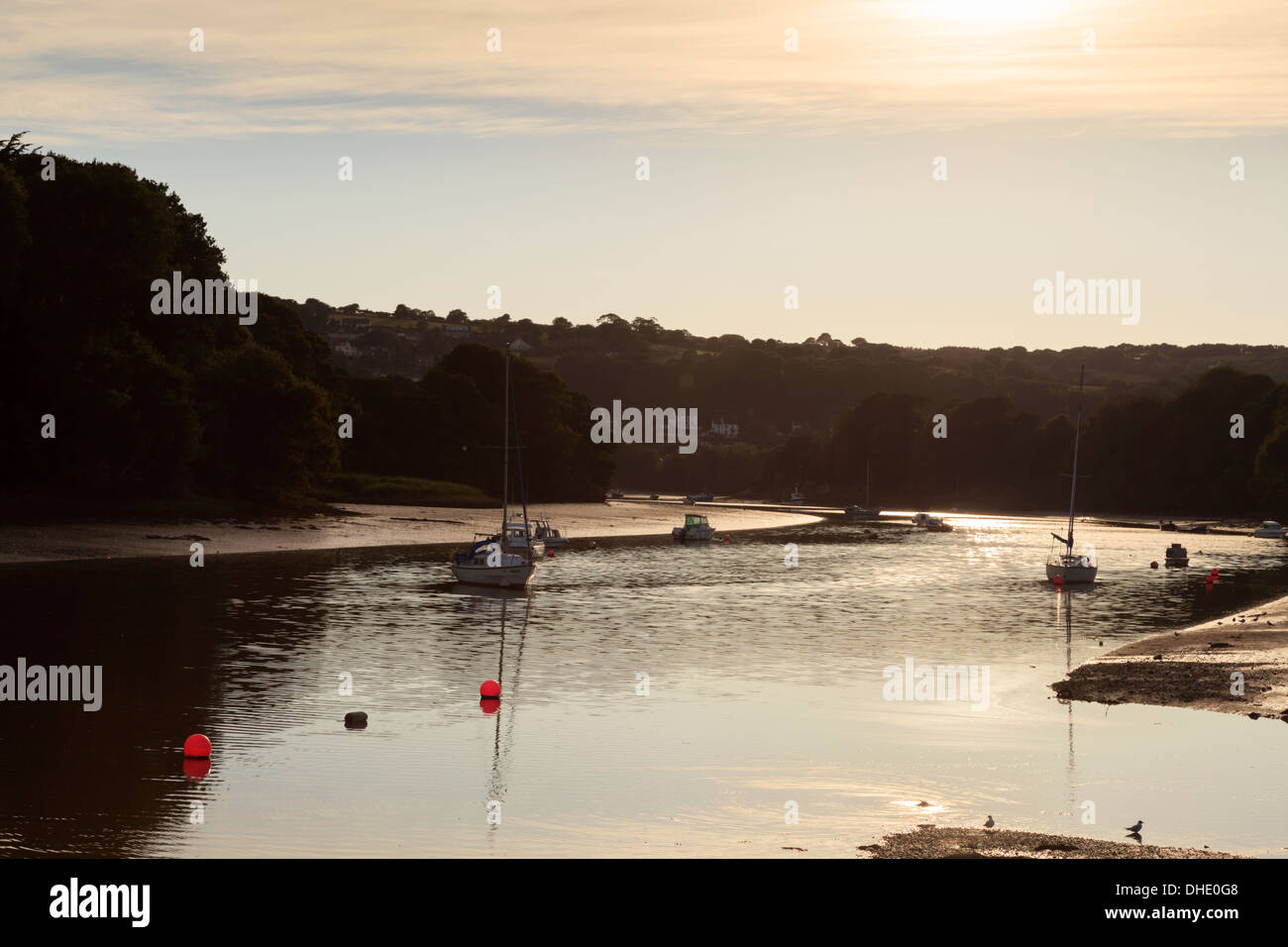 Cardigan welsh silhouette hi-res stock photography and images - Alamy