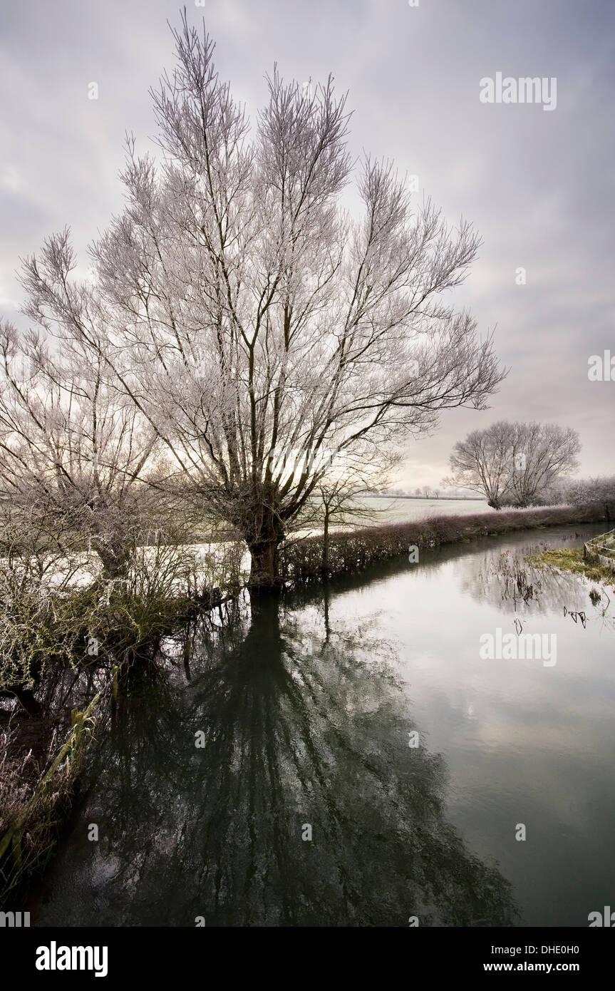 Thames head hi-res stock photography and images - Alamy
