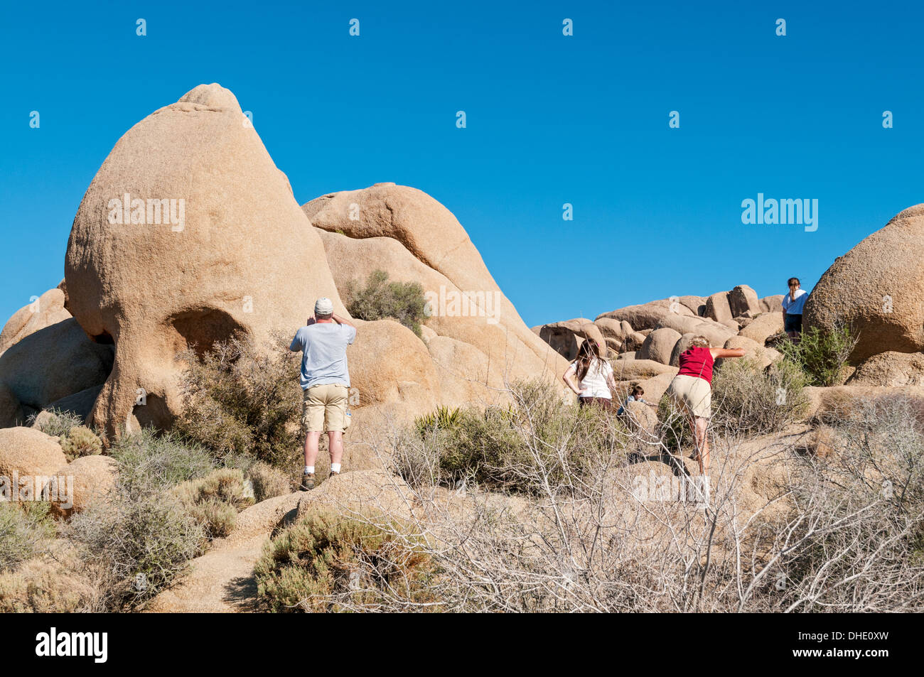 California, Joshua Tree National Park, Scull Rock, family on trail ...