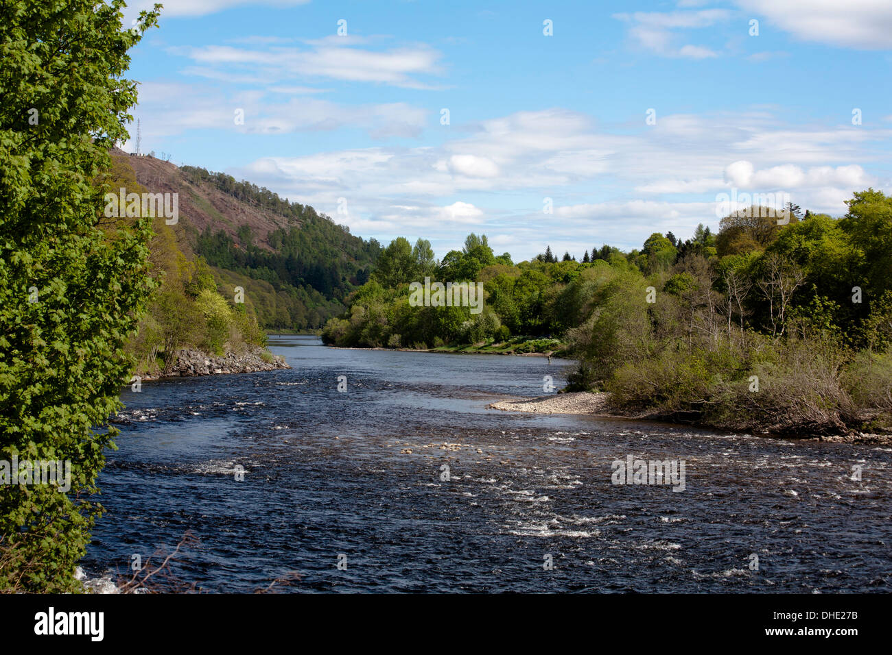 River tay salmon hi-res stock photography and images - Alamy