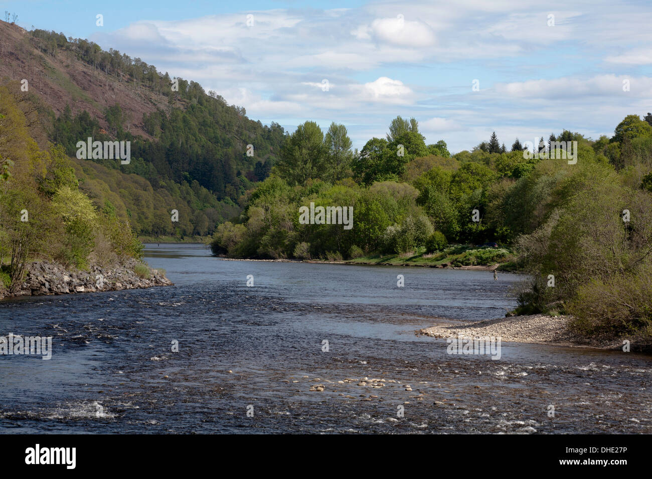 River tay perthshire trees hi-res stock photography and images - Alamy