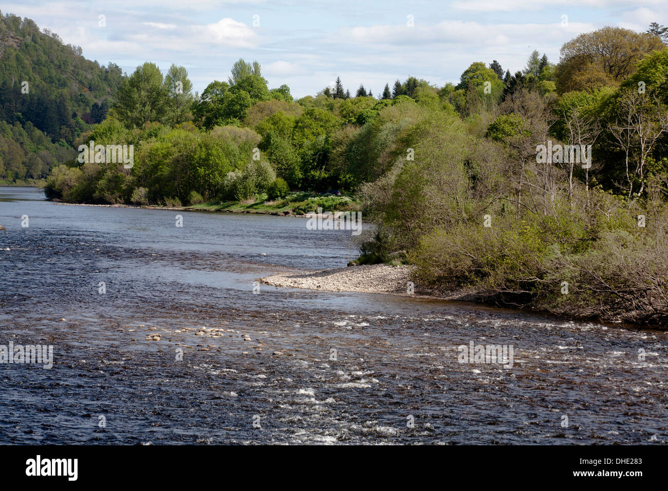 River tay salmon hi-res stock photography and images - Alamy