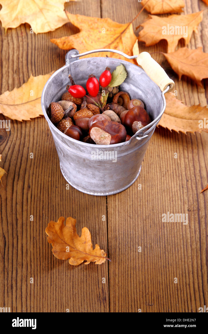 Zinc bucket full of chestnut, acorn and rosehip, top view Stock Photo ...
