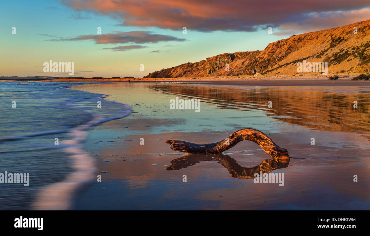 St cyrus beach scotland hi-res stock photography and images - Alamy