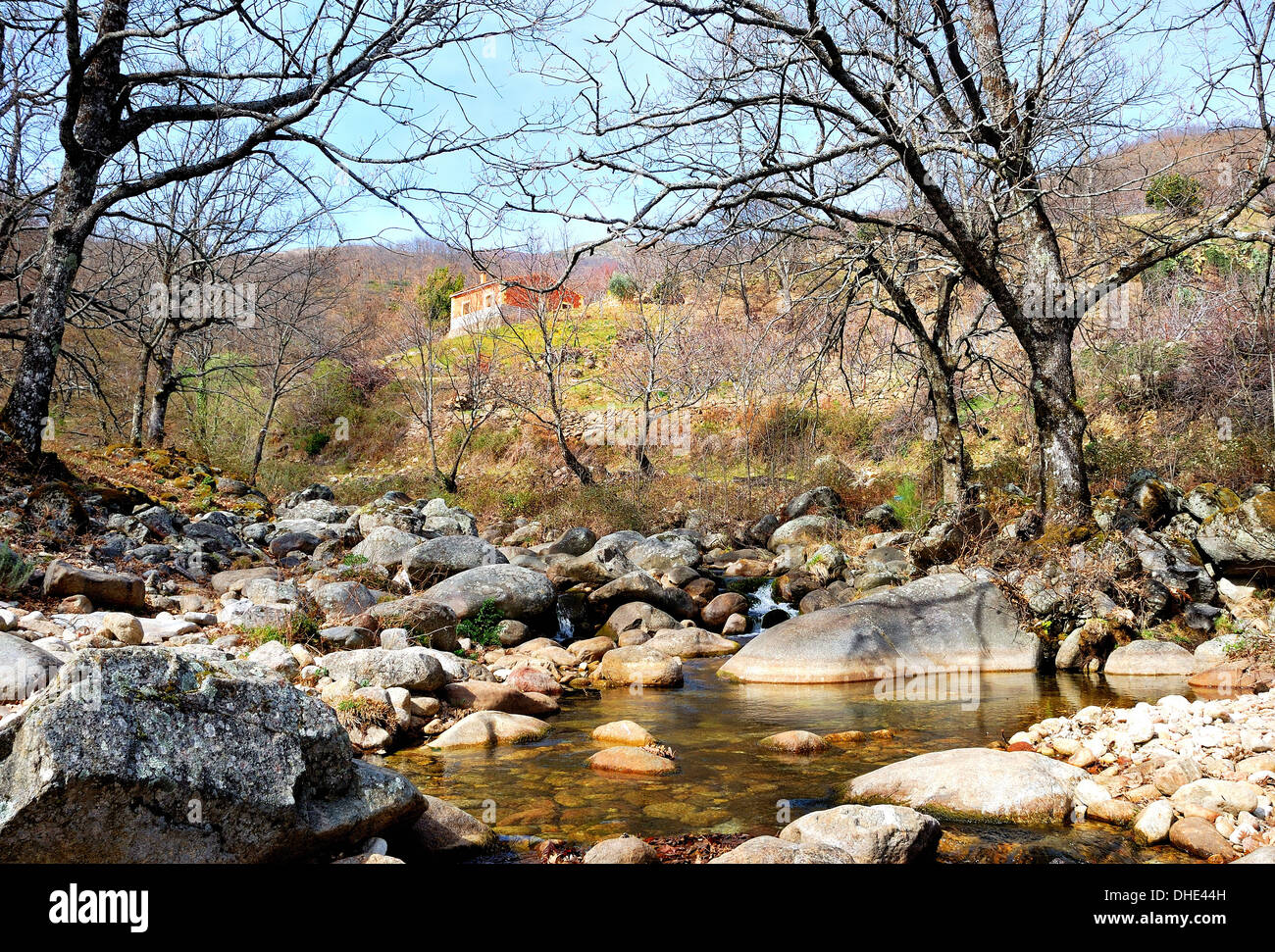 Stream bottom hi-res stock photography and images - Alamy