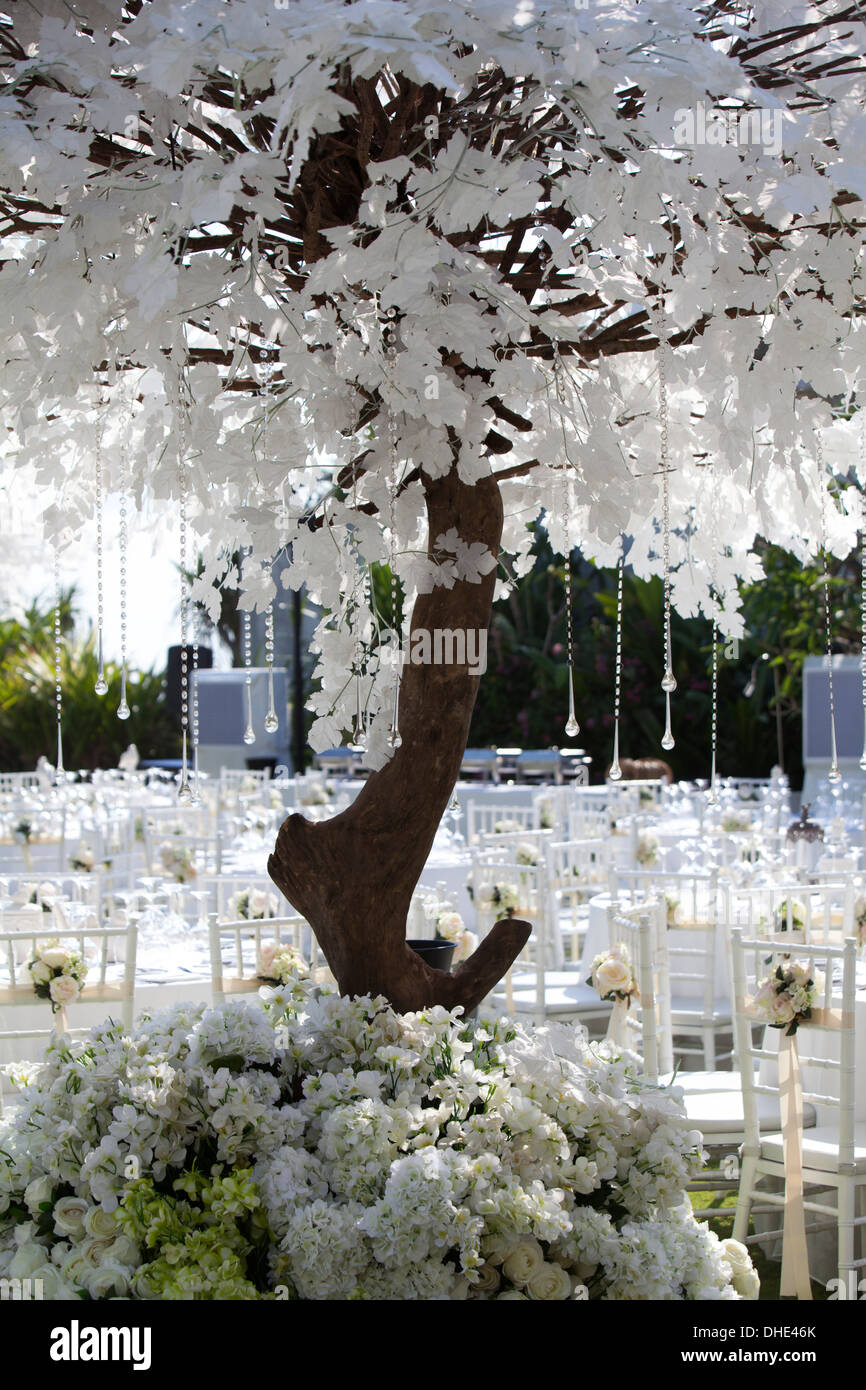 wedding reception decoration table chair trees eat eating plates ...