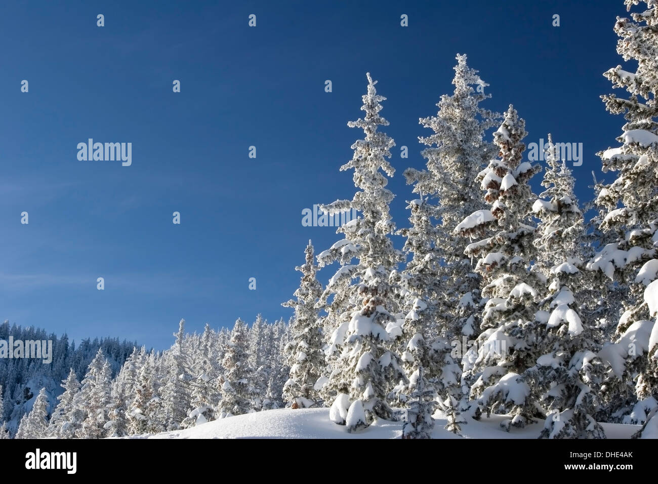 Ravens ridge trail hi-res stock photography and images - Alamy