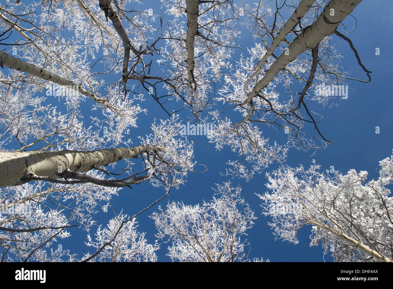 Ravens Ridge Trail High Resolution Stock Photography and Images - Alamy
