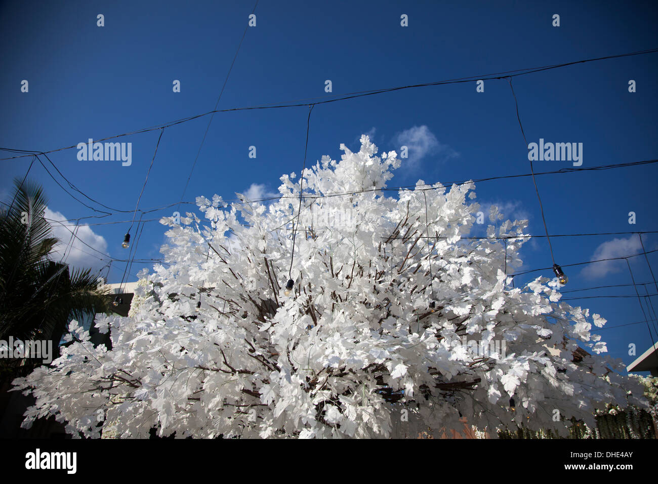 white tree decoration wedding reception flowers reception celebration ...