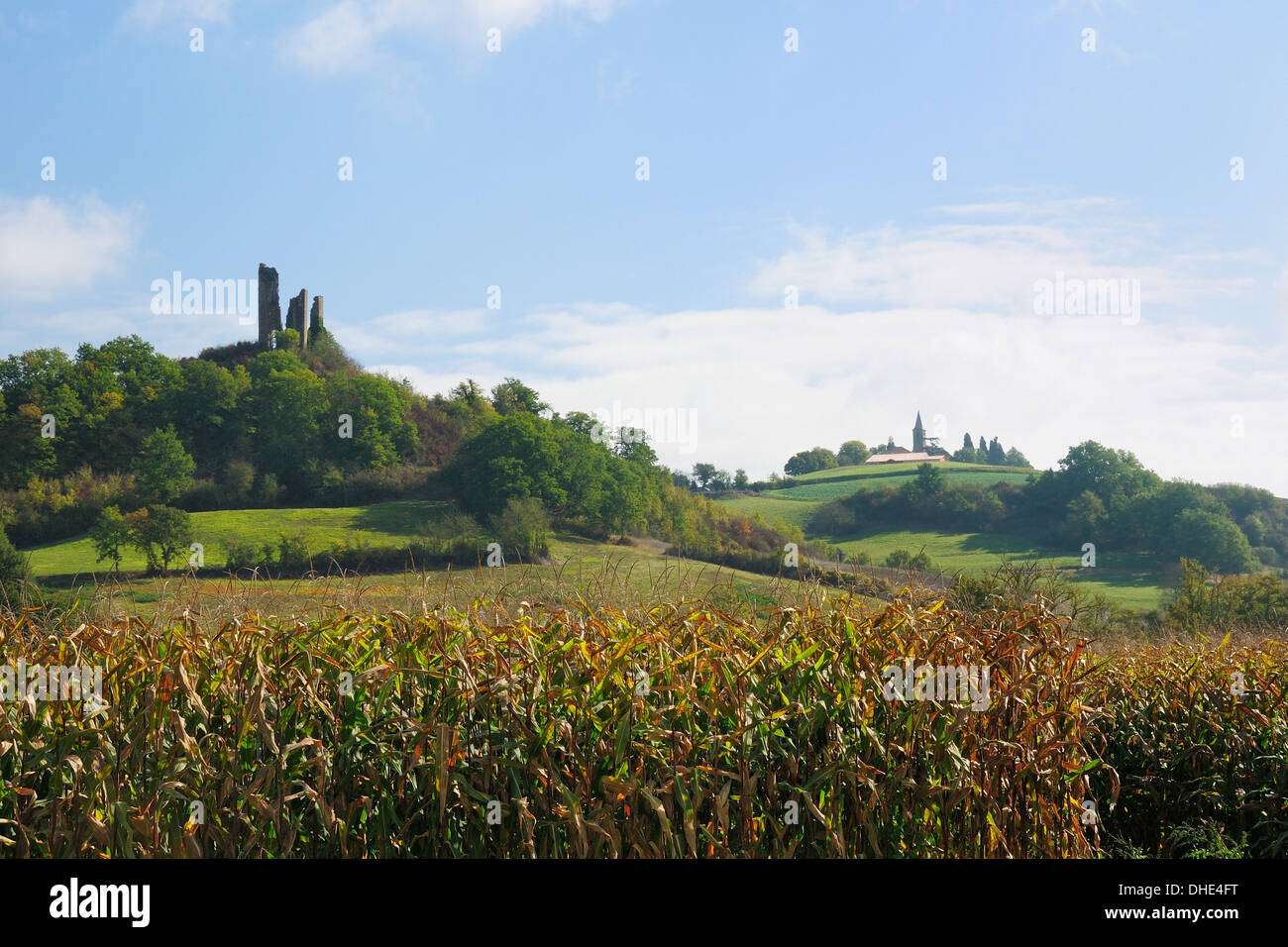 Rural landscape with maize field (Zea mays), ruined castle and village ...