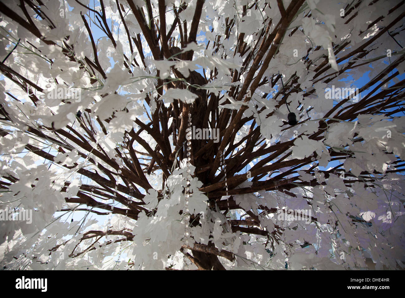 Reception skills hi-res stock photography and images - Alamy