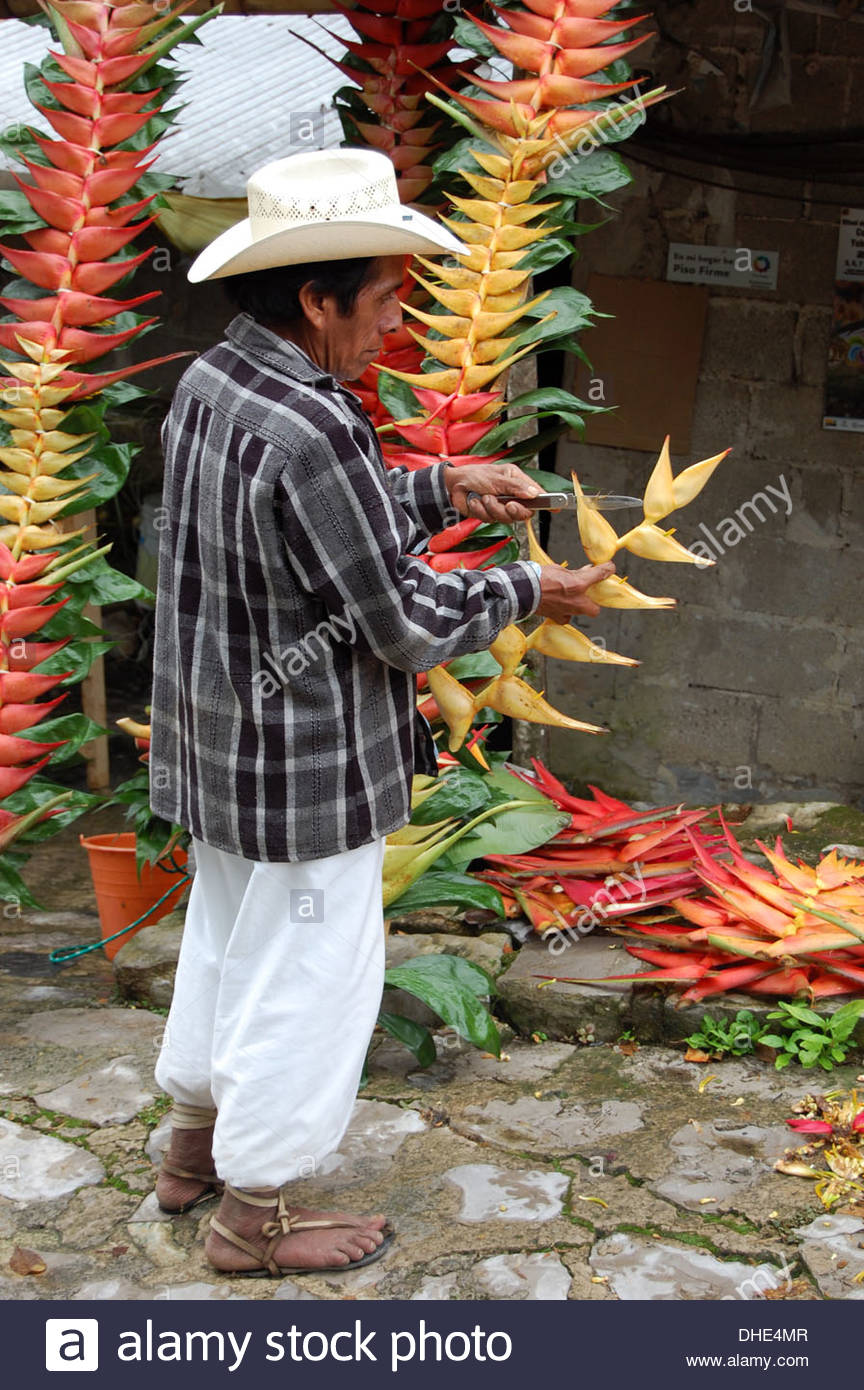 Nahuat Stock Photos & Nahuat Stock Images - Alamy