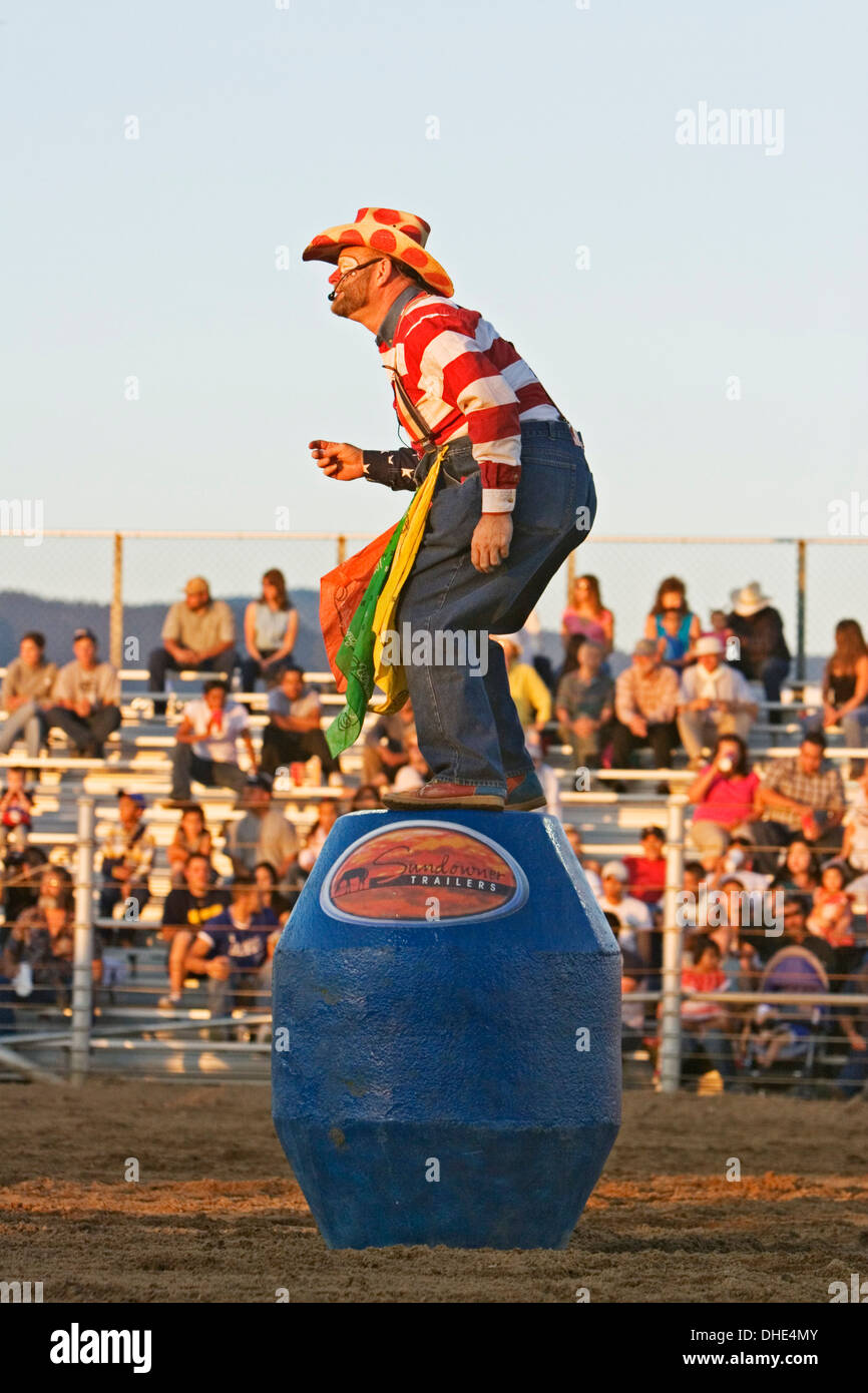 Barrelman Dave Copher dancing on barrel, Rodeo de Santa Fe, New Mexico ...