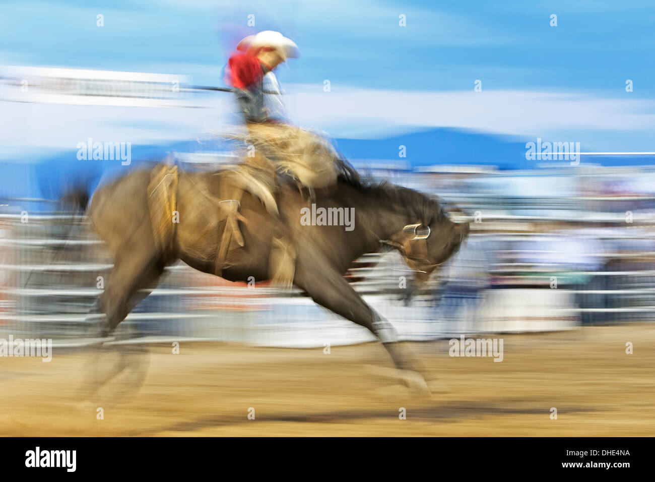 Cowboy on bucking horse hi-res stock photography and images - Alamy