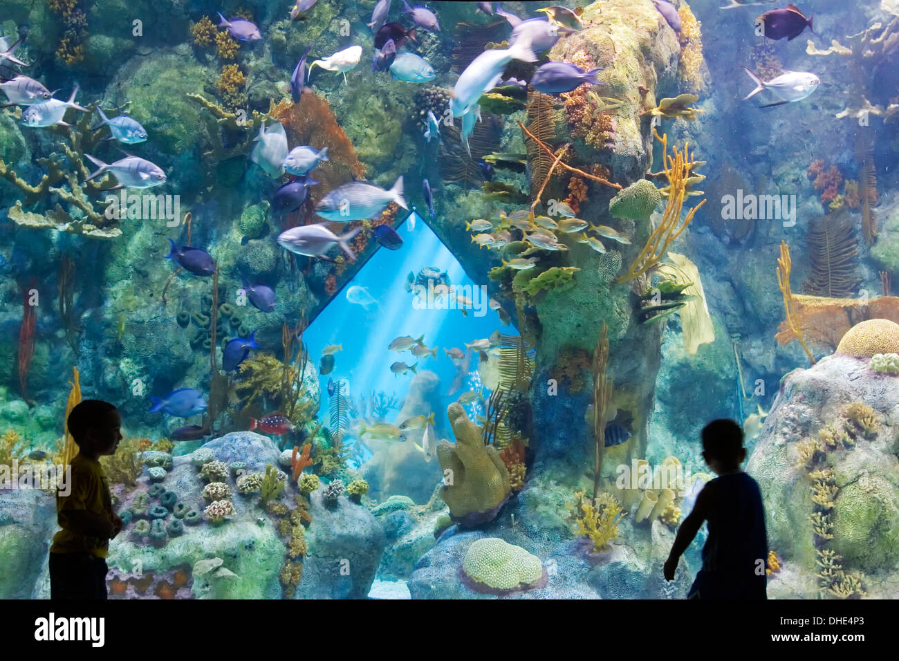 Tank boys hi-res stock photography and images - Alamy