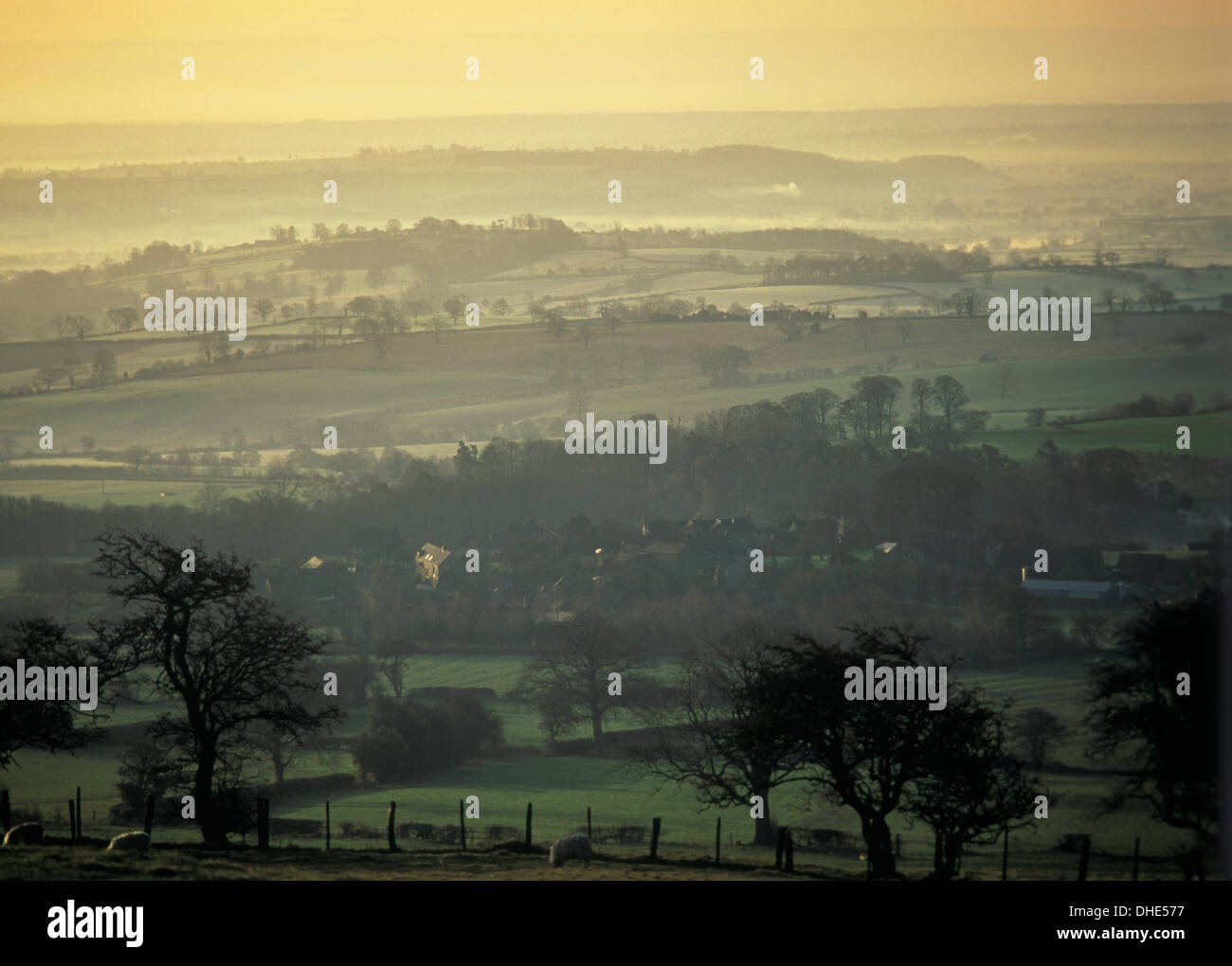 UK, Staffordshire, misty fields Stock Photo - Alamy