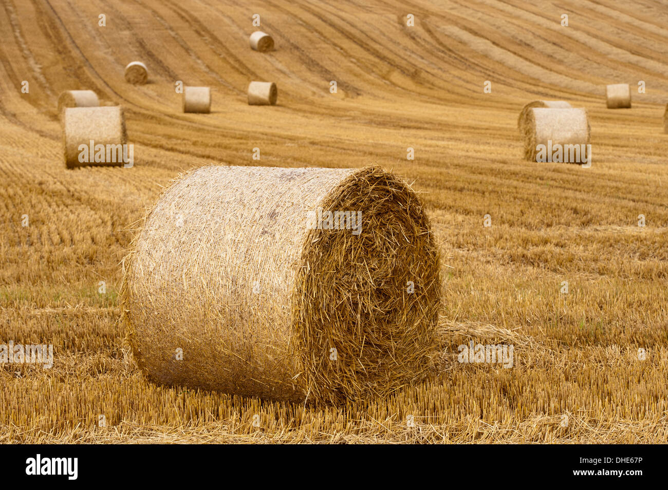 Round bales hi-res stock photography and images - Alamy
