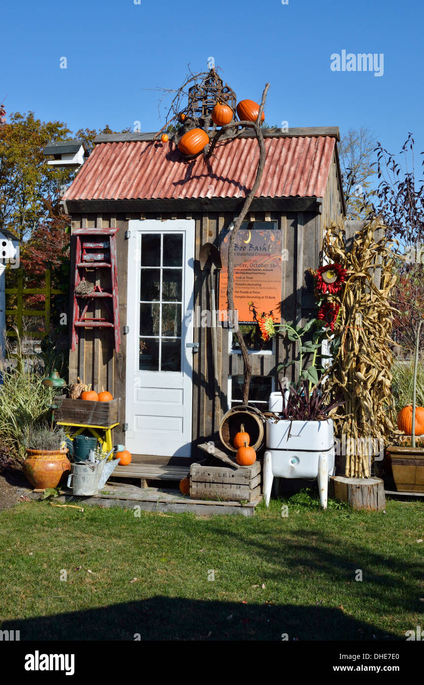 Autumn fall display scarecrow pumpkin hi-res stock photography and ...