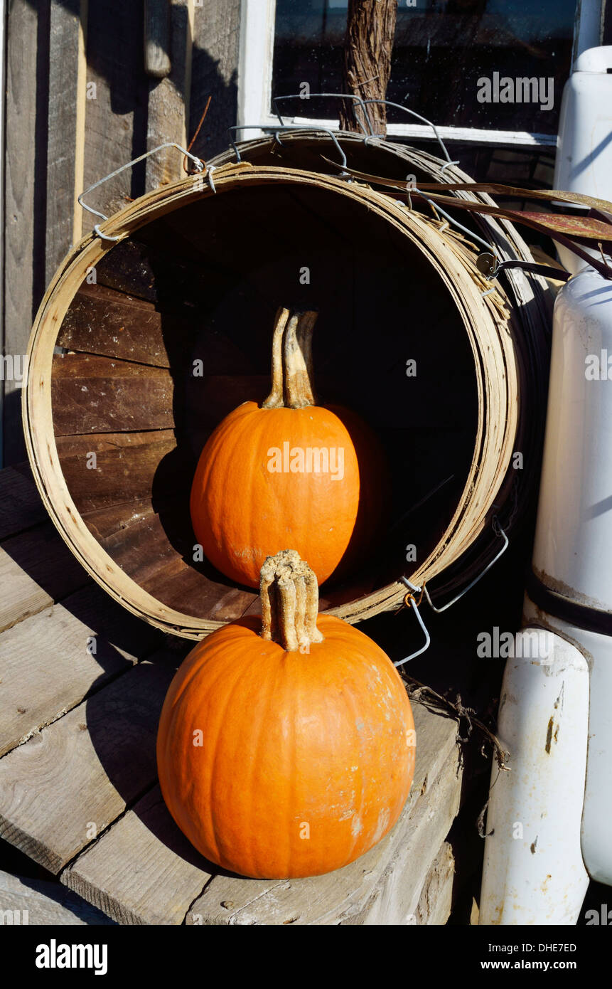 Wooden bench with pumpkins hi-res stock photography and images - Alamy