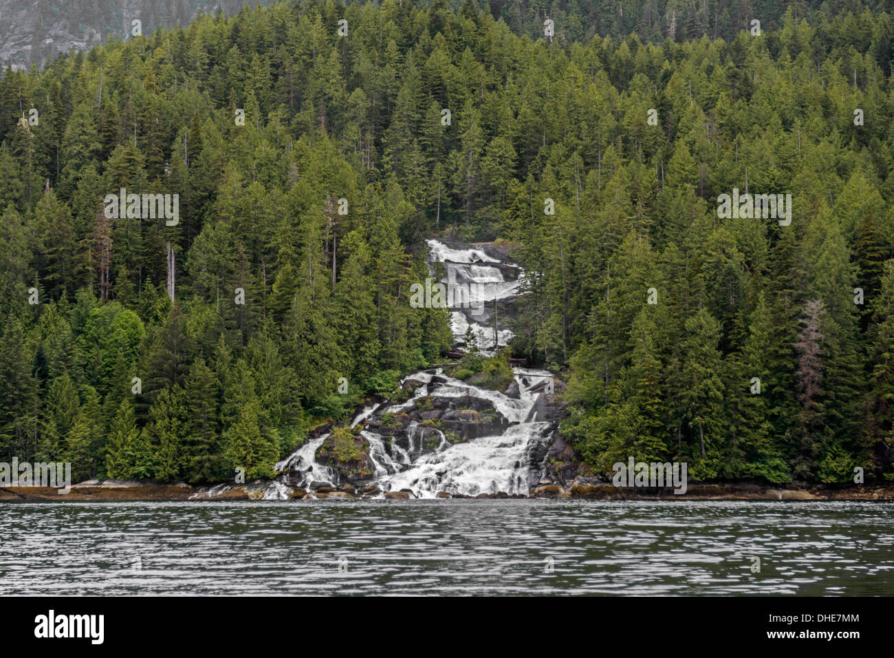 Princess royal island hi-res stock photography and images - Alamy