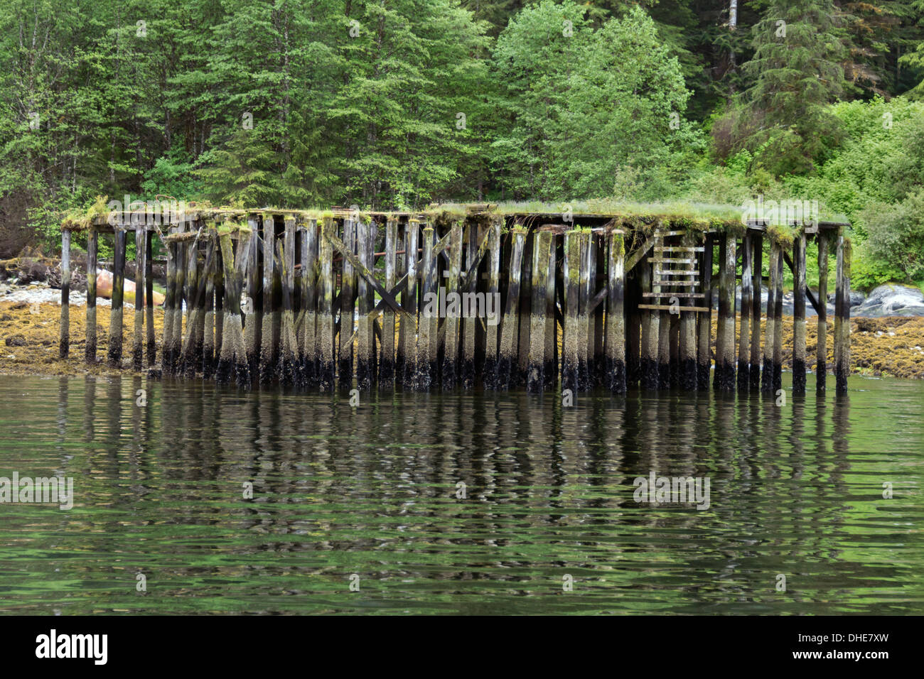 Ruined wharf with reflections, Butedale, Princess Royal Island, mid ...
