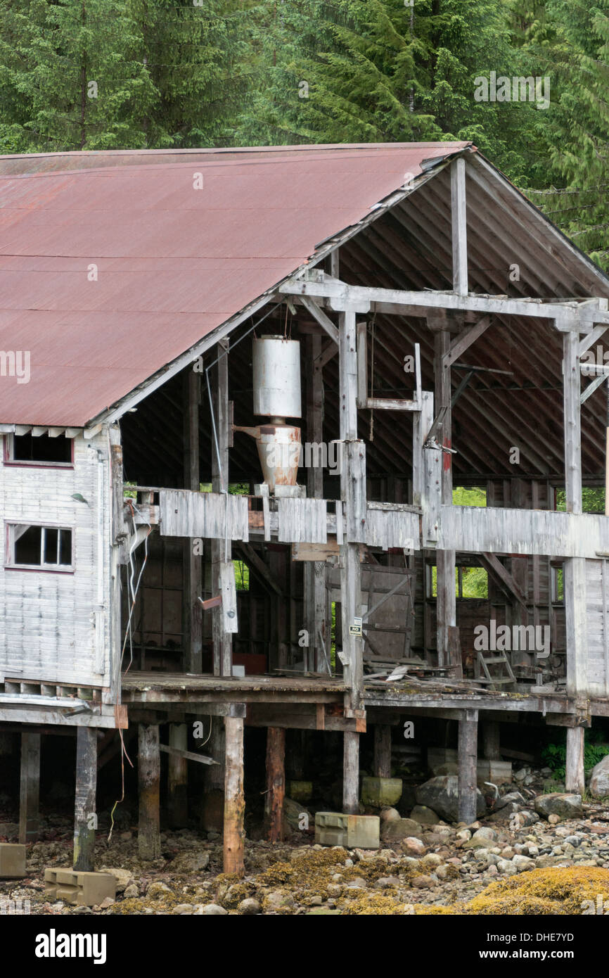 Old boiler standing in ruins of the cannery, Butedale, Princess Royal ...