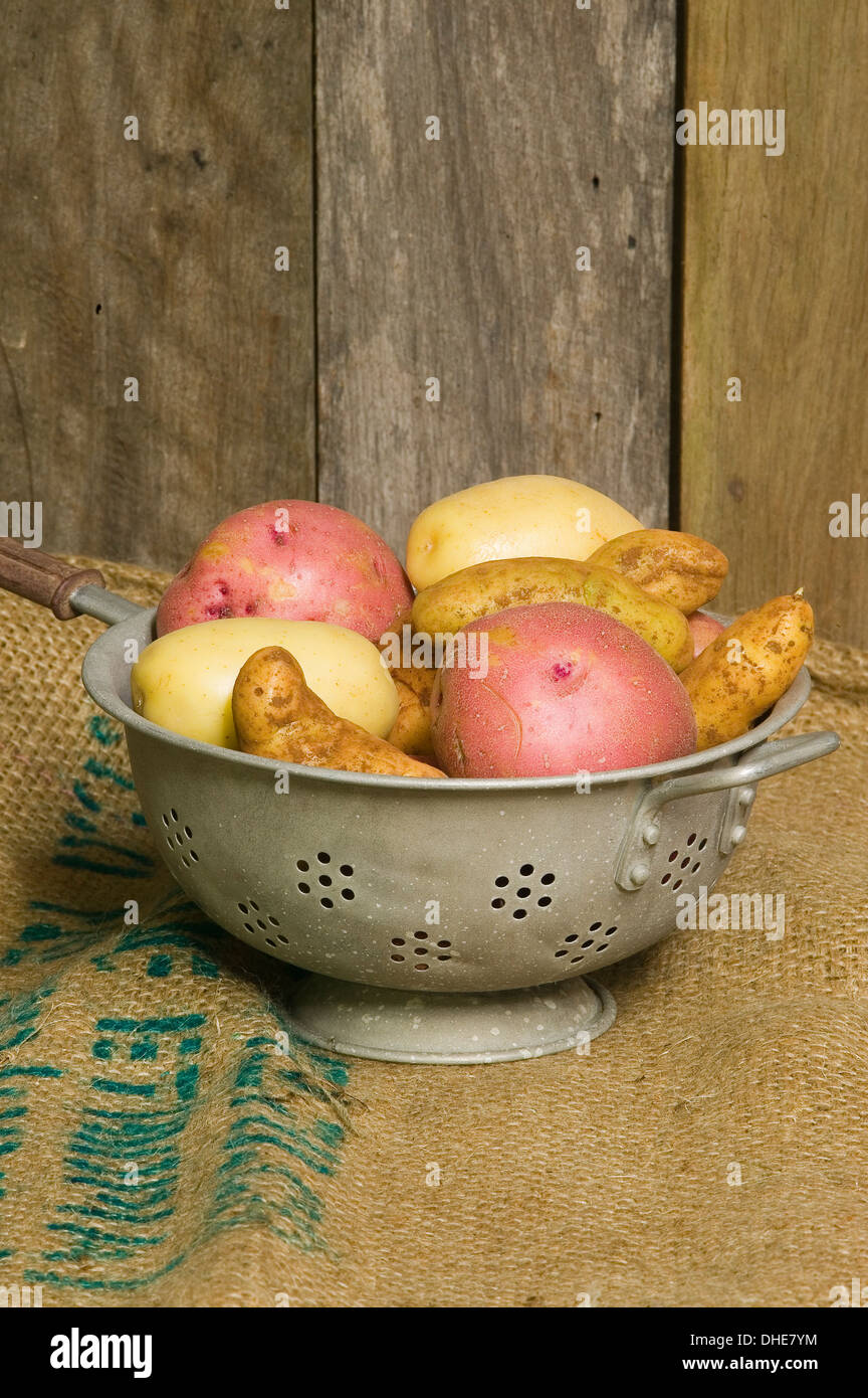 Various potatoes in a colander on a Hessian sack Stock Photo - Alamy