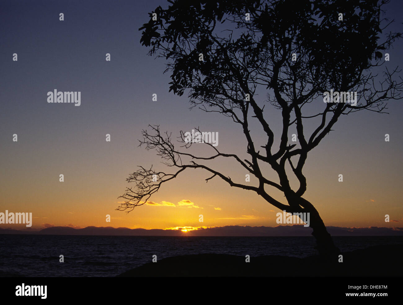 Manzanita sunset on Point Atkinson, Lighthouse Park, Vancouver, British ...