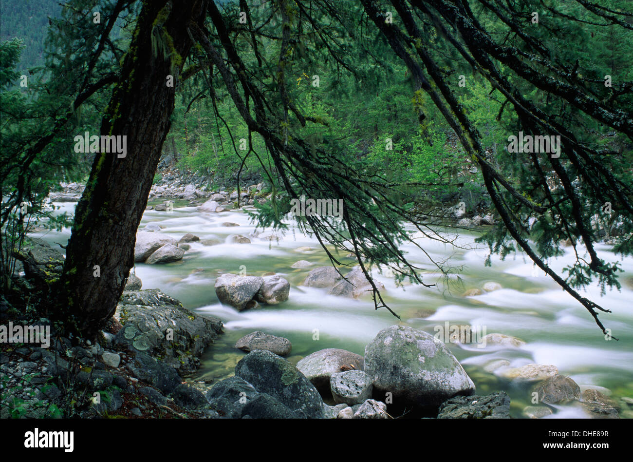 Stein provincial park hi-res stock photography and images - Alamy