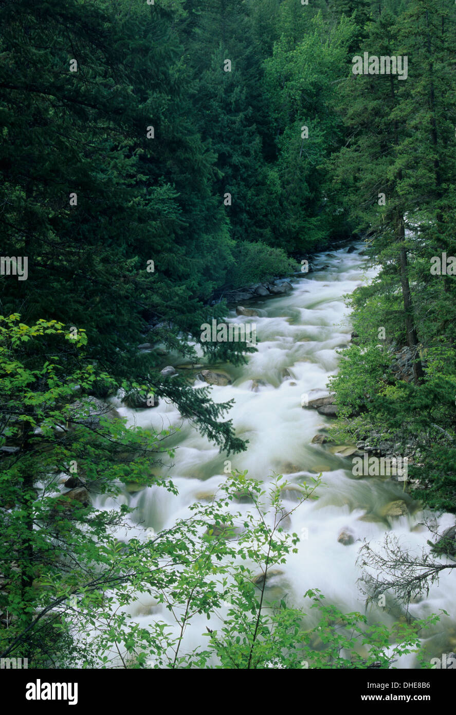 Stein River on Stein River Trail, Stein Valley Nlaka'pamux Heritage ...