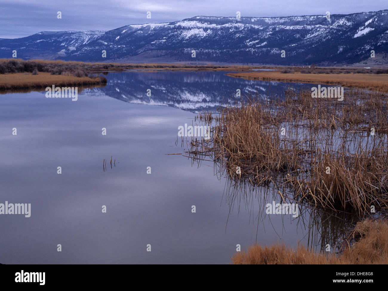 Ana river summer lake wildlife hi-res stock photography and images - Alamy