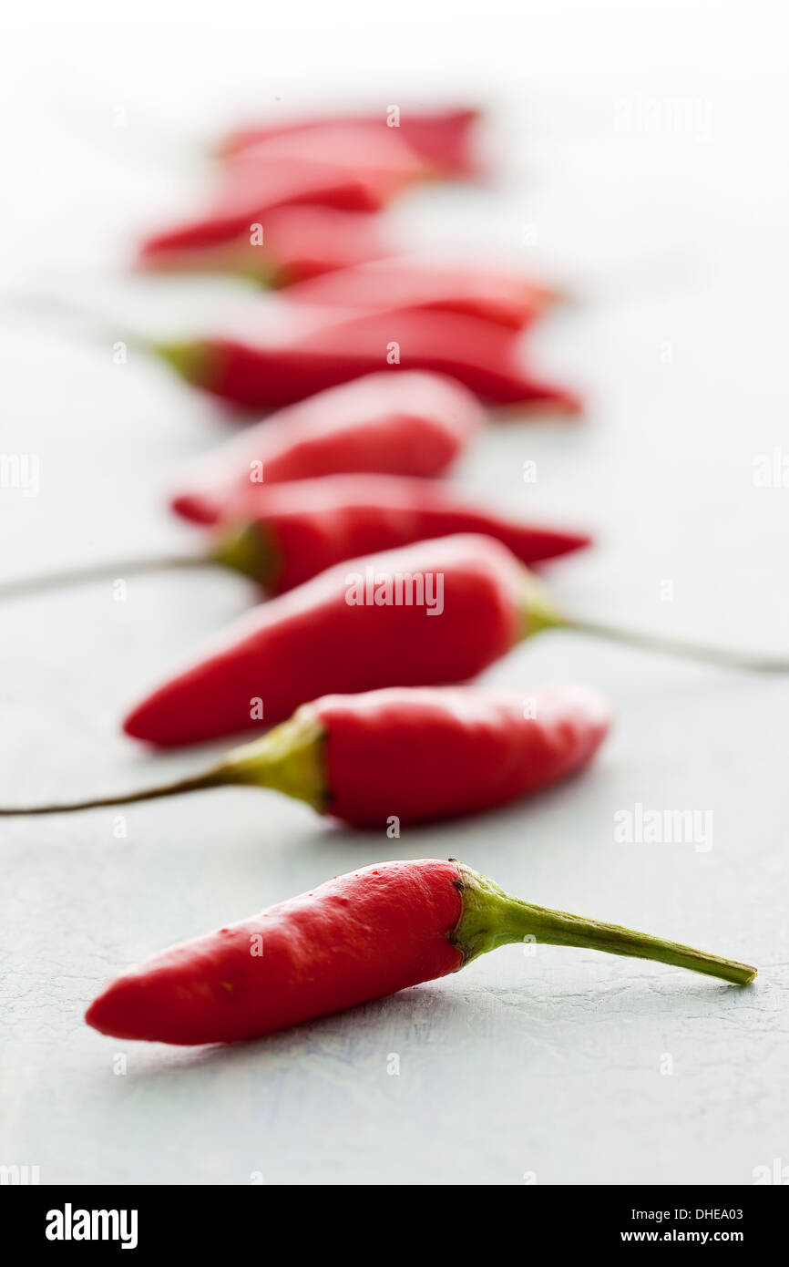 Hot spicy chillies hi-res stock photography and images - Alamy